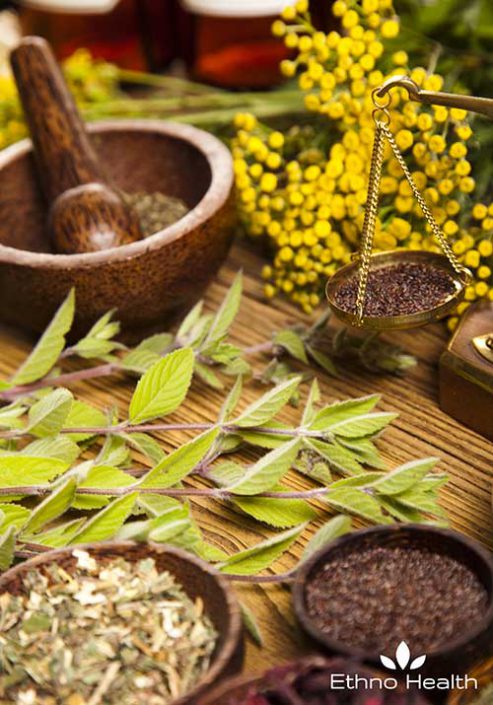 Ethno-Health | Vita Well